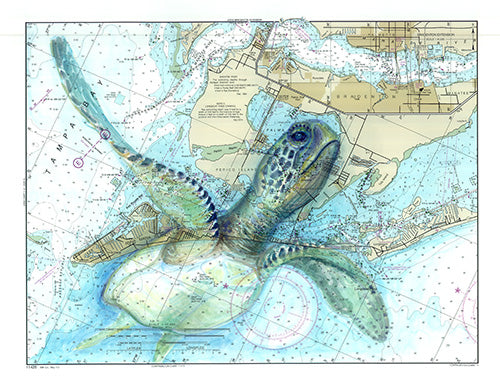 Anna Maria Island Turtle Nautical Art Print – Carly Mejeur